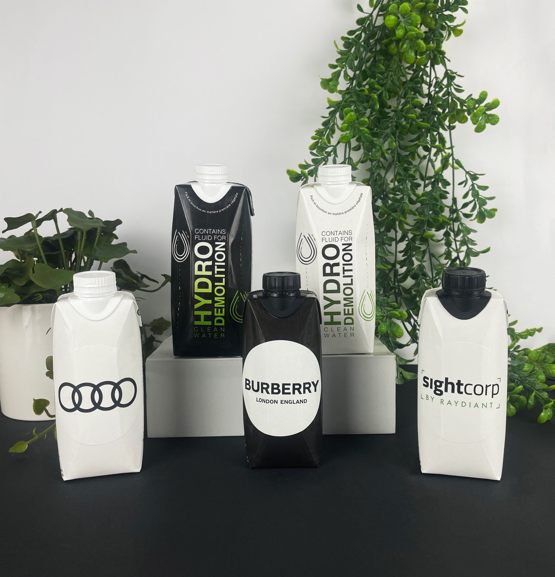 Guía de Uso de Briks Personalizados para Empresas